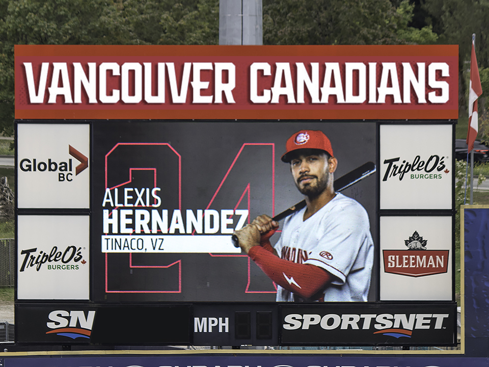 C’s Chat – 2025 Vancouver Canadians OF #24 Alexis Hernández – C's Plus ...